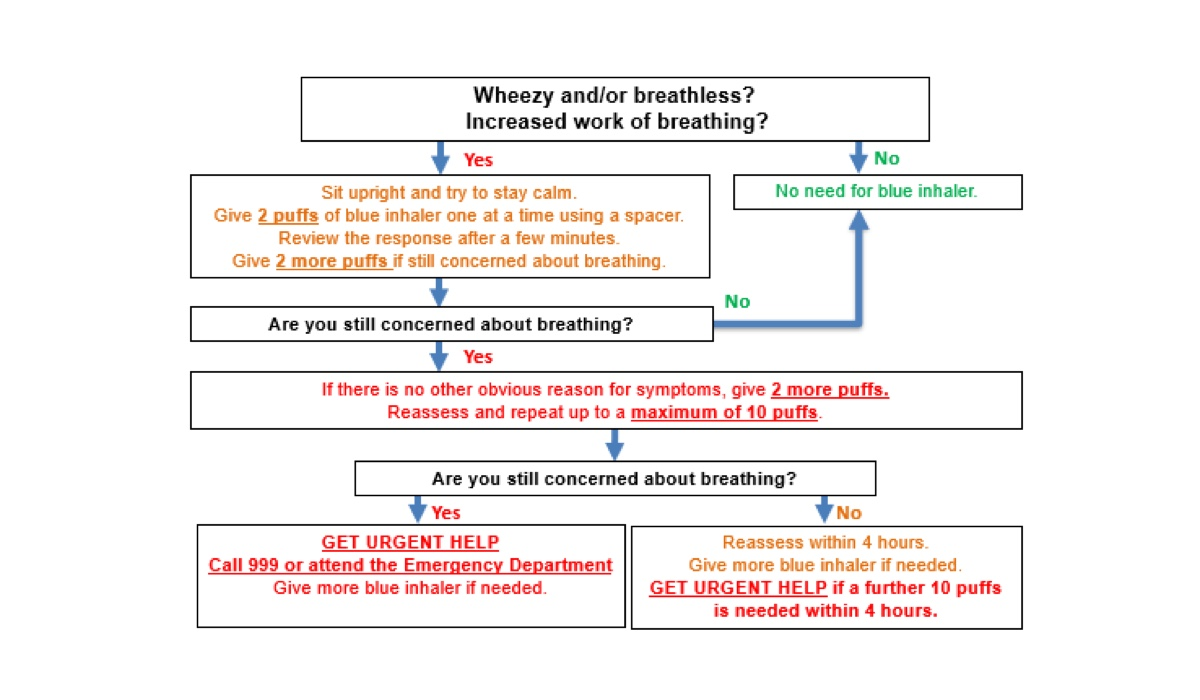 Difficulty breathing and wheeze | Recent Illness or Concern | Healthier ...